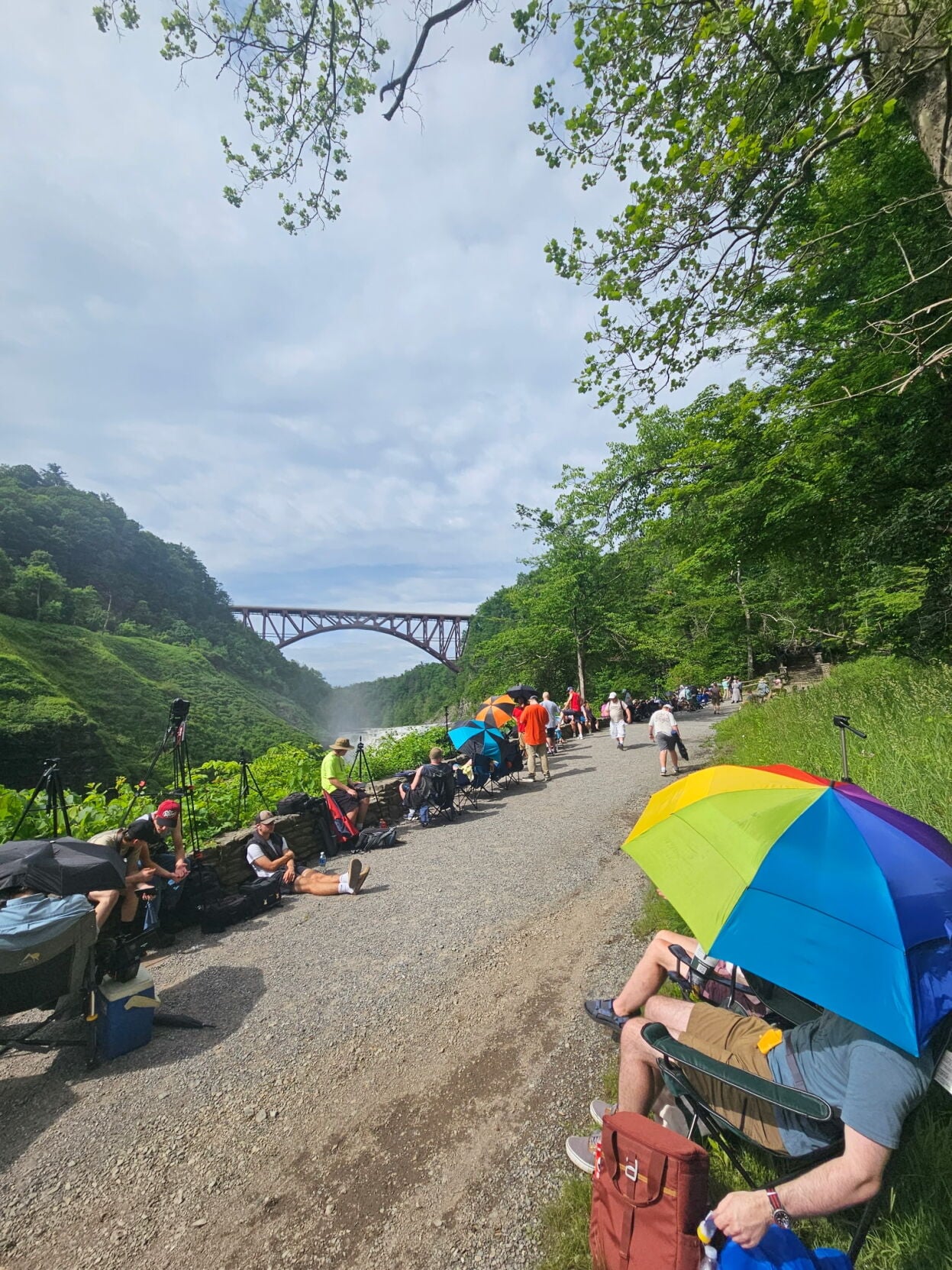 'Big Boy' locomotive draws thousands at Silver Springs, Letchworth ...