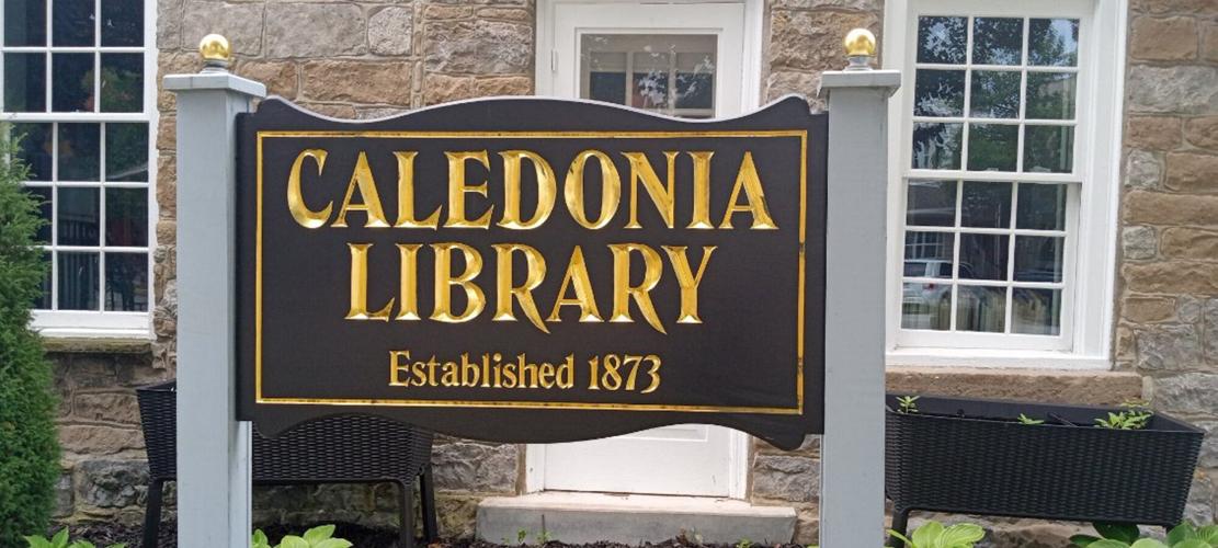 Caledonia, Avon library projects see huge boost in funding from state ...