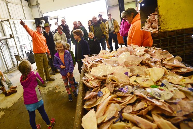 Unwanted food powers local farm | Local News | thelcn.com