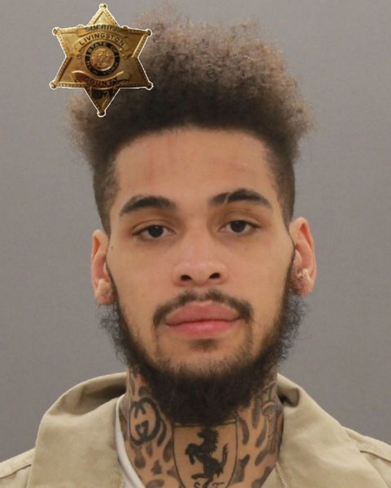 Inmate at Livingston County Jail charged with felony assault | Local ...