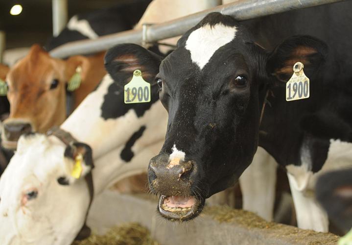 WATCH: Schumer calls for Farm Bill renewal during Pavilion appearance ...