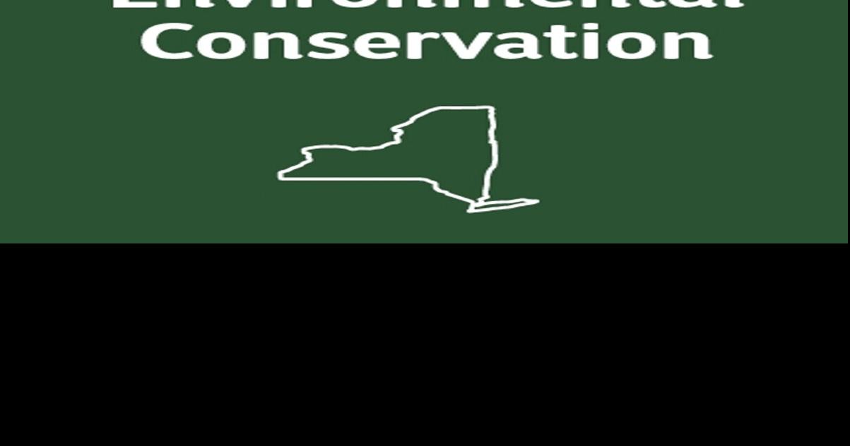 DEC to operate deer and bear check station | Local News | thelcn.com