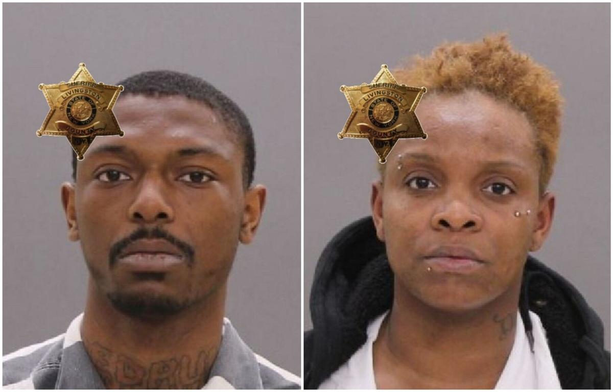2 from Rochester charged with grand larceny | Police | thelcn.com