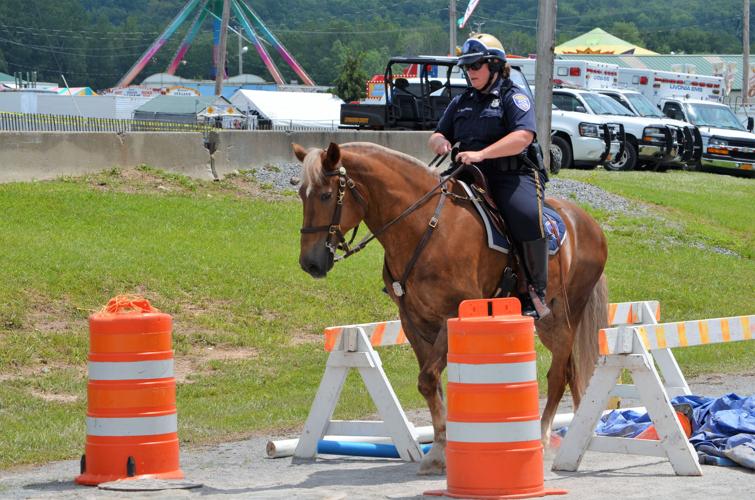 A matter of trust: Obstacles test riders, horses Mounted Patrol ...