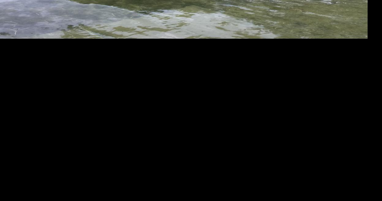 DEC cites Conesus Inn project for erosion violations | Local News ...