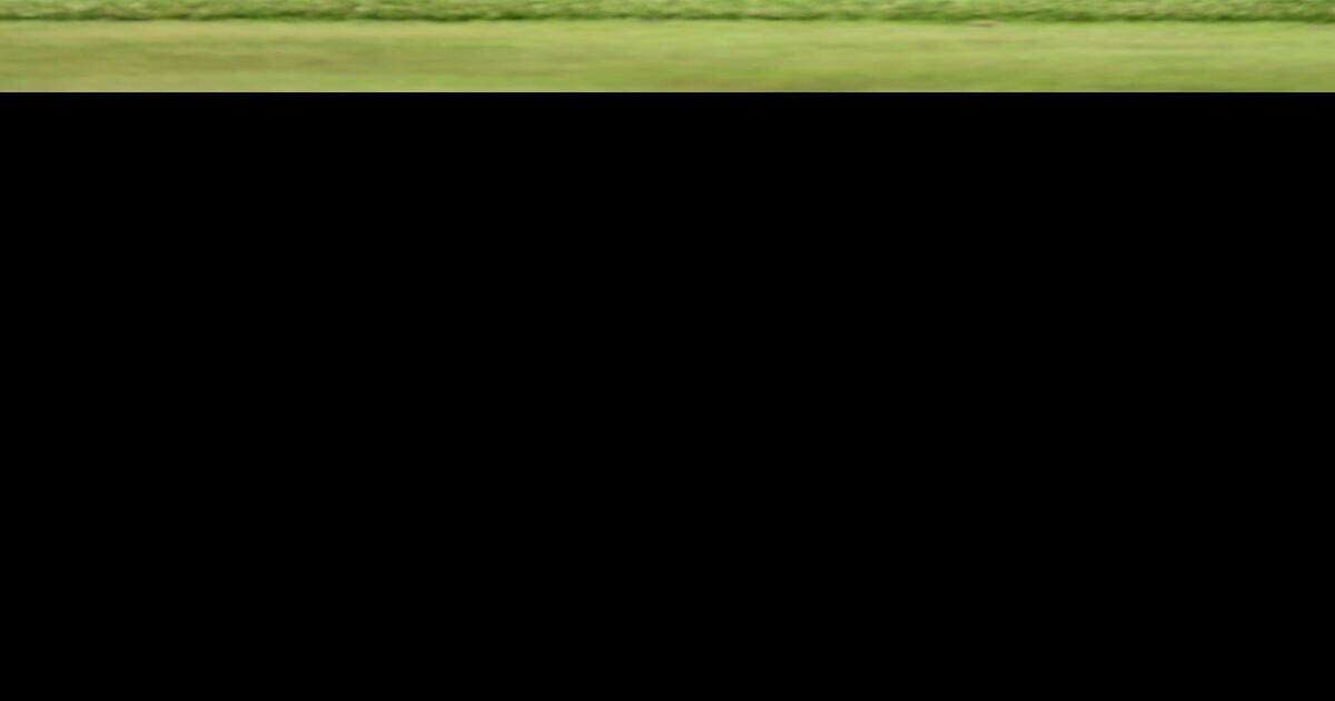 H.S. GOLF: Coyle, Bagley share medalist honors as Livonia downs Batavia ...