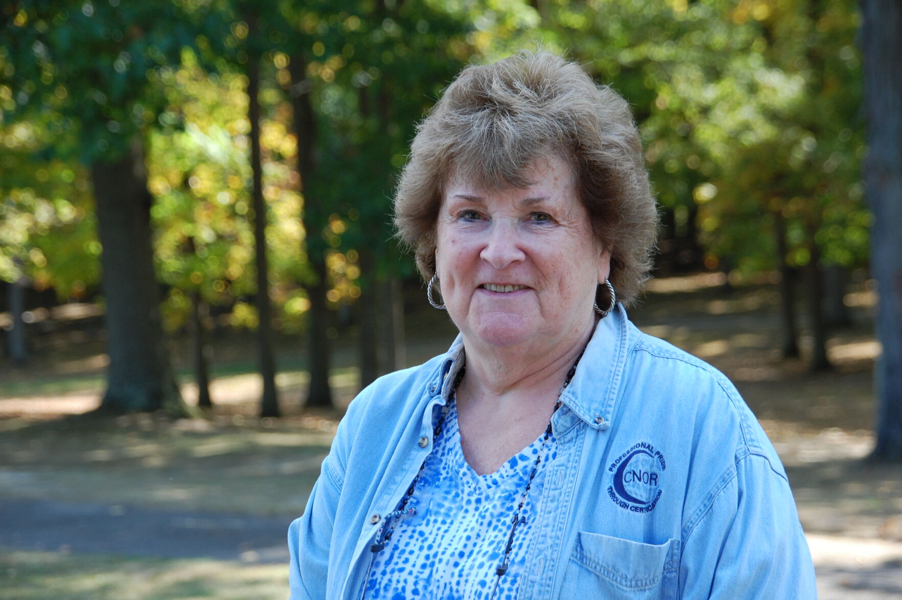 Retired nurse, former Avon party chair to lead county Democrats | News ...