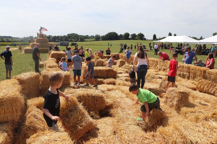 Farm Fest: Ag celebration entertains and educates all ages | Local News ...