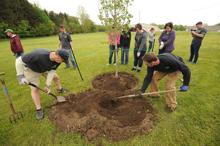 Complete Payroll plants 25 trees for 25 years in business | Local News ...