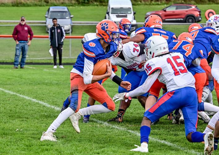 Cal-Mum/BB, Dansville/Way-Co victorious | Sports | thelcn.com