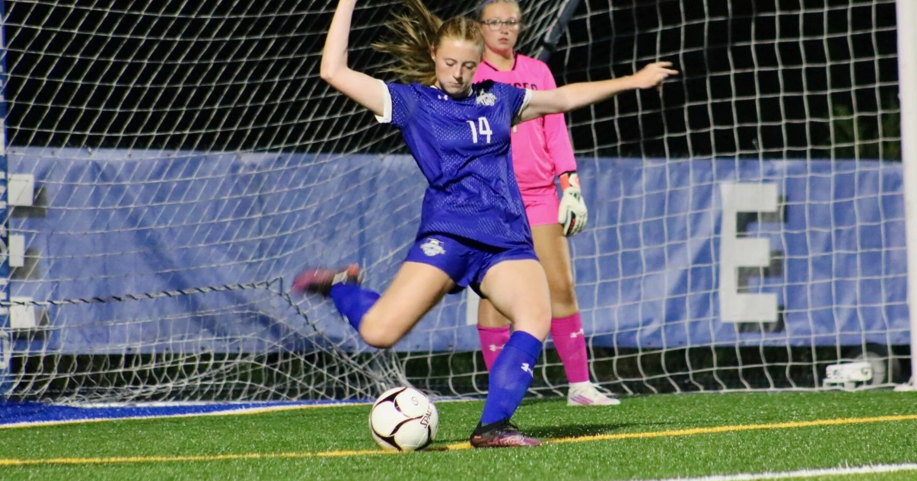 H.S. GIRLS SOCCER: Fowler scores hat trick to propel Geneseo over Cal ...