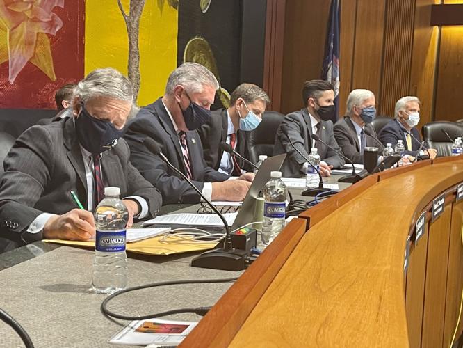 State urged to keep public meetings in-person after pandemic virtual ...