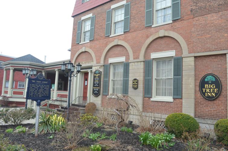 Big Tree could get major overhaul | Local News | thelcn.com