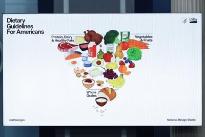 Column: I don't understand the new food pyramid | Lifestyles | thelcn.com