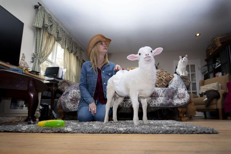 ‘Funny Farm’: Rescue owner Laurie Zaleski talks about her ‘unexpected ... ‘Funny Farm’: Rescue owner Laurie Zaleski talks about her ‘unexpected ...