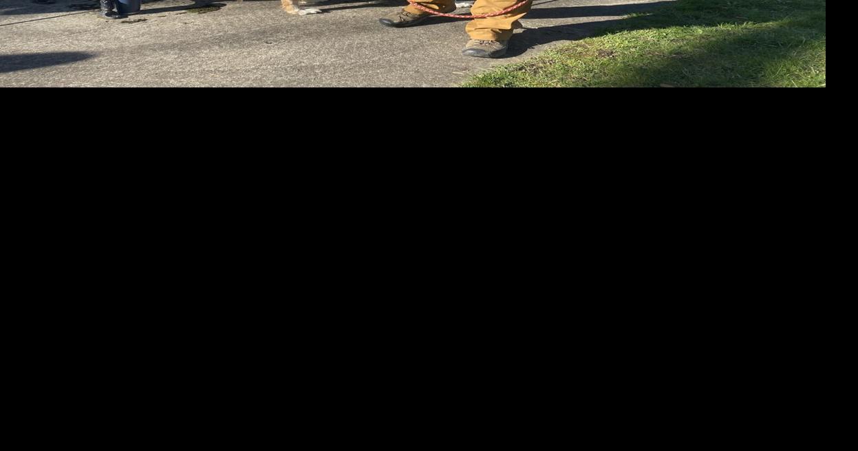 Avon marks Arbor Day with tree plantings, proclamation | News | thelcn.com