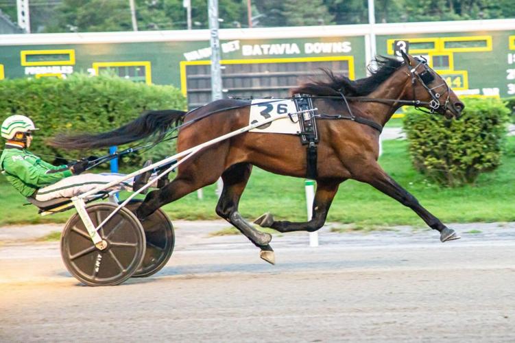 BATAVIA DOWNS: Cecil Hanover, Onion Gum both victorious in NYSS races ...