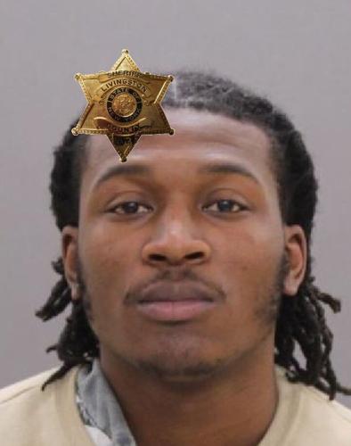 Rochester man cited for 17 license suspensions | News | thelcn.com