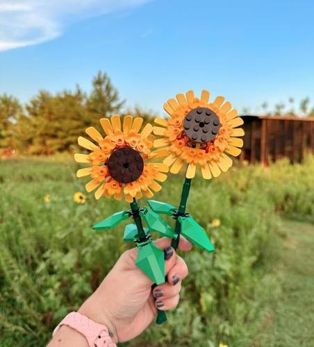 Houston Botanic Garden to host LEGO NIGHT at Radiant Nature on Jan. 17 ...