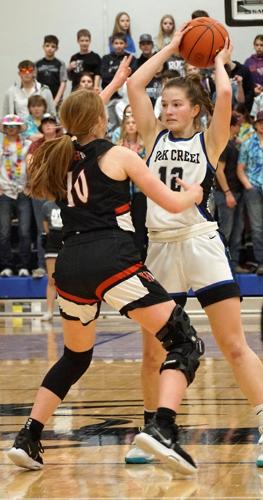 Area basketball roundup: Wamego girls win 5 straight | Sports ...