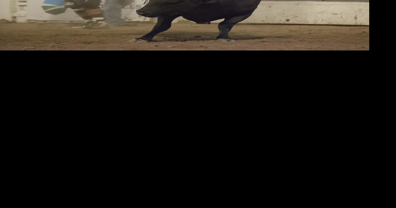 Lane Clark, Bull riding champion 2018 Kaw Valley Rodeo | | themercury.com