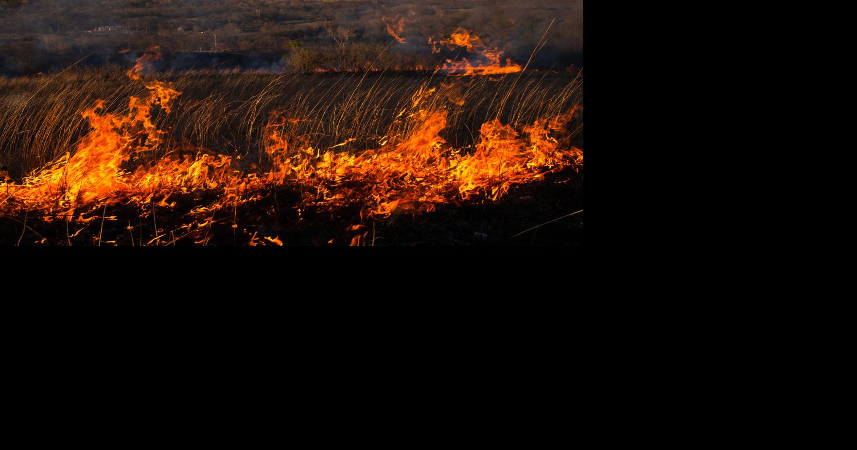 KSU research suggests burning small patch of pasture at a time has ...