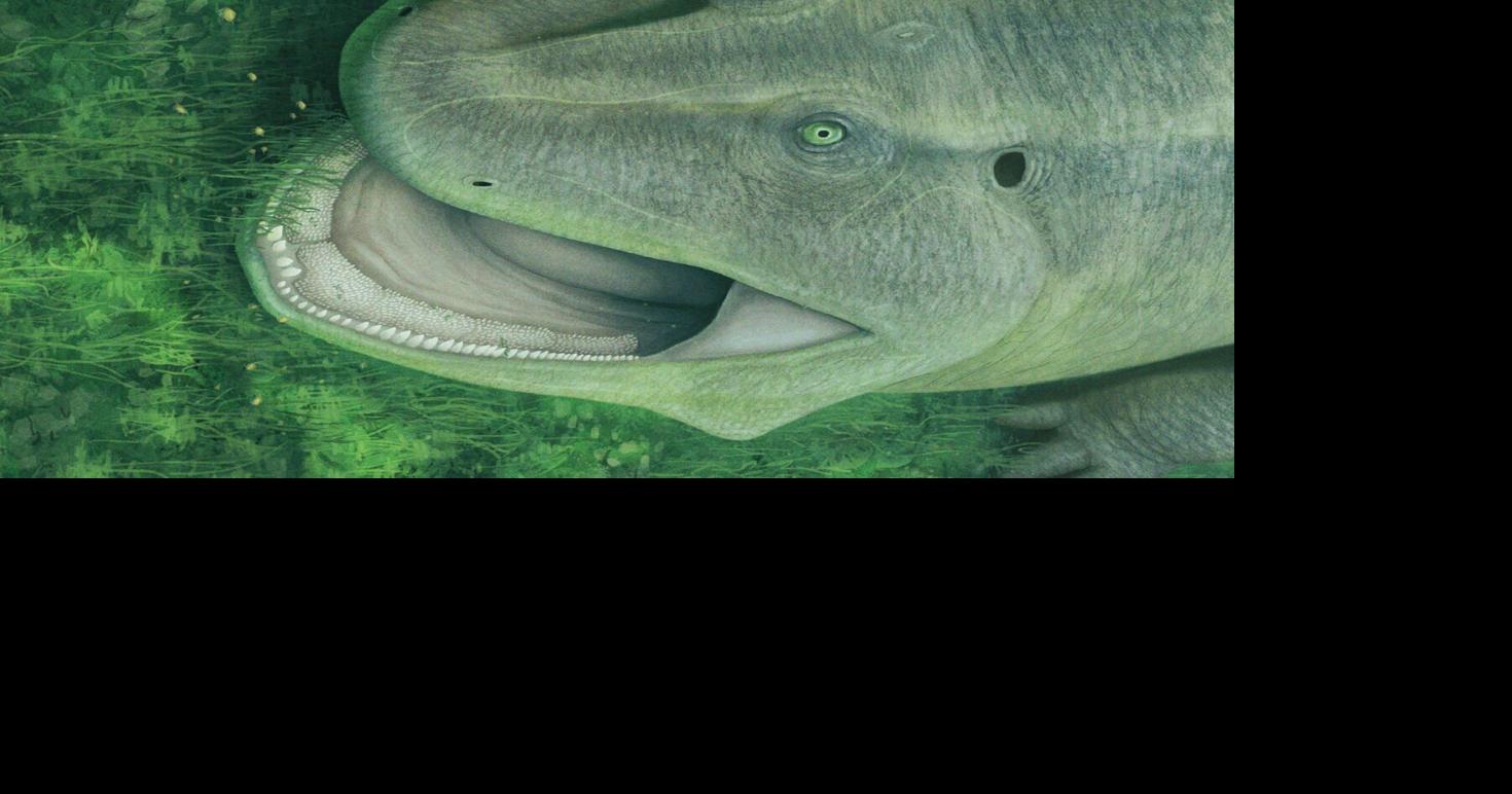 Creature with twisted jaw and sideways-facing teeth discovered ...