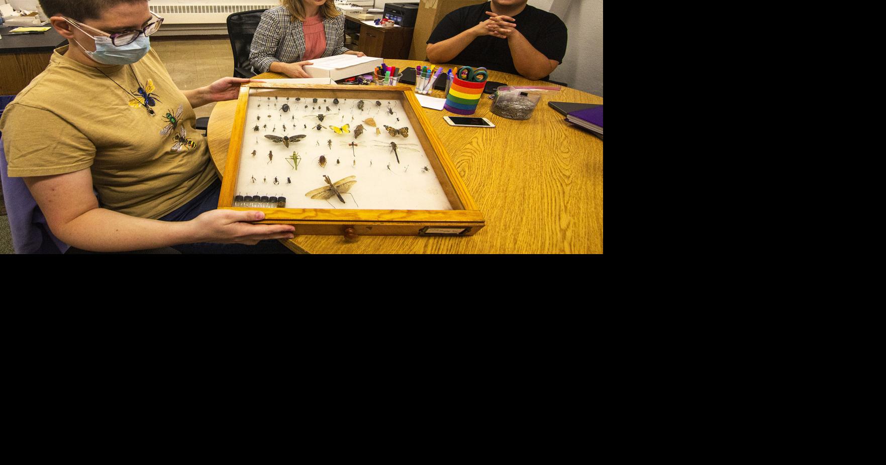 KSU entomology students receive $25K to research insects eating plastic ...