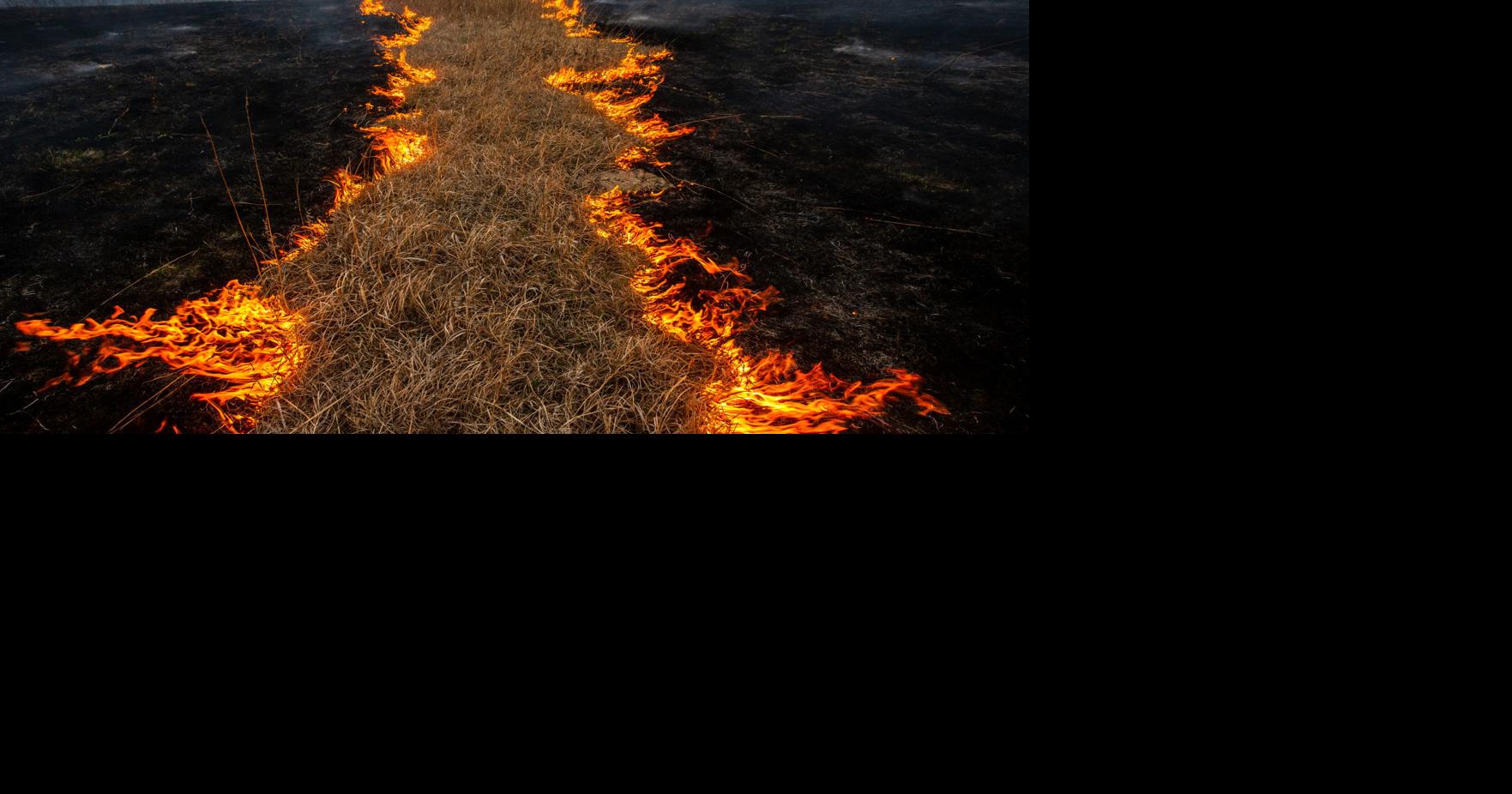 BURN NOTICE | Fire expert says controlled burns can take place during ...