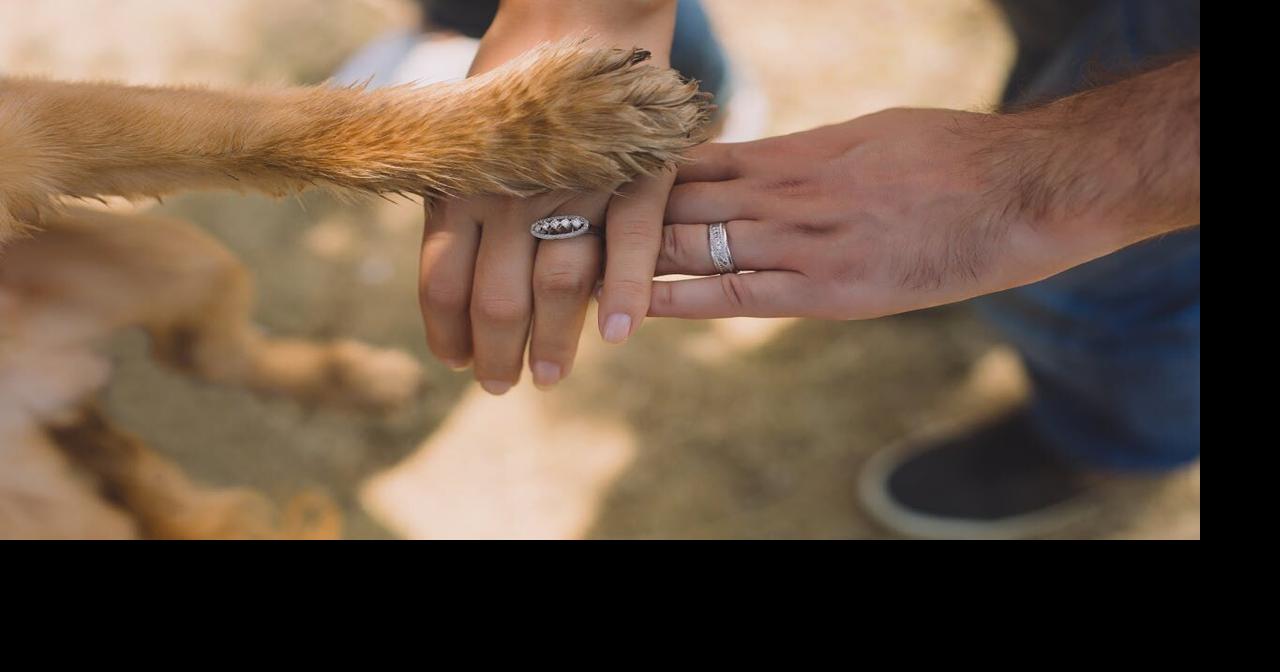 What do pet parents worry about the most? | National | themercury.com