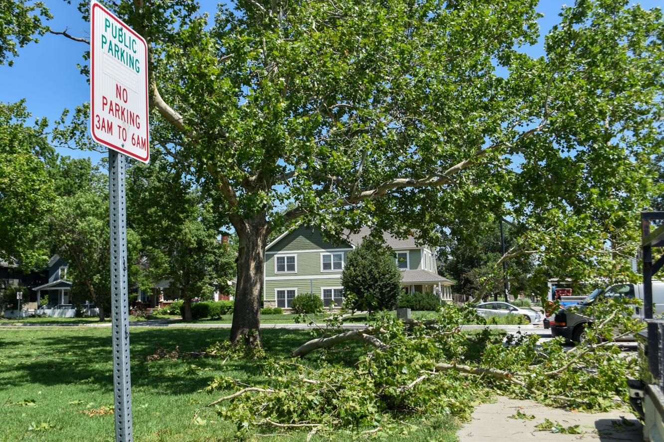 Tree branches fallen after Manhattan storm | | themercury.com