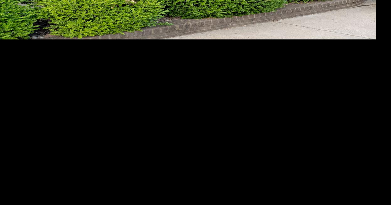 State Farm Josh Salmans | | themercury.com