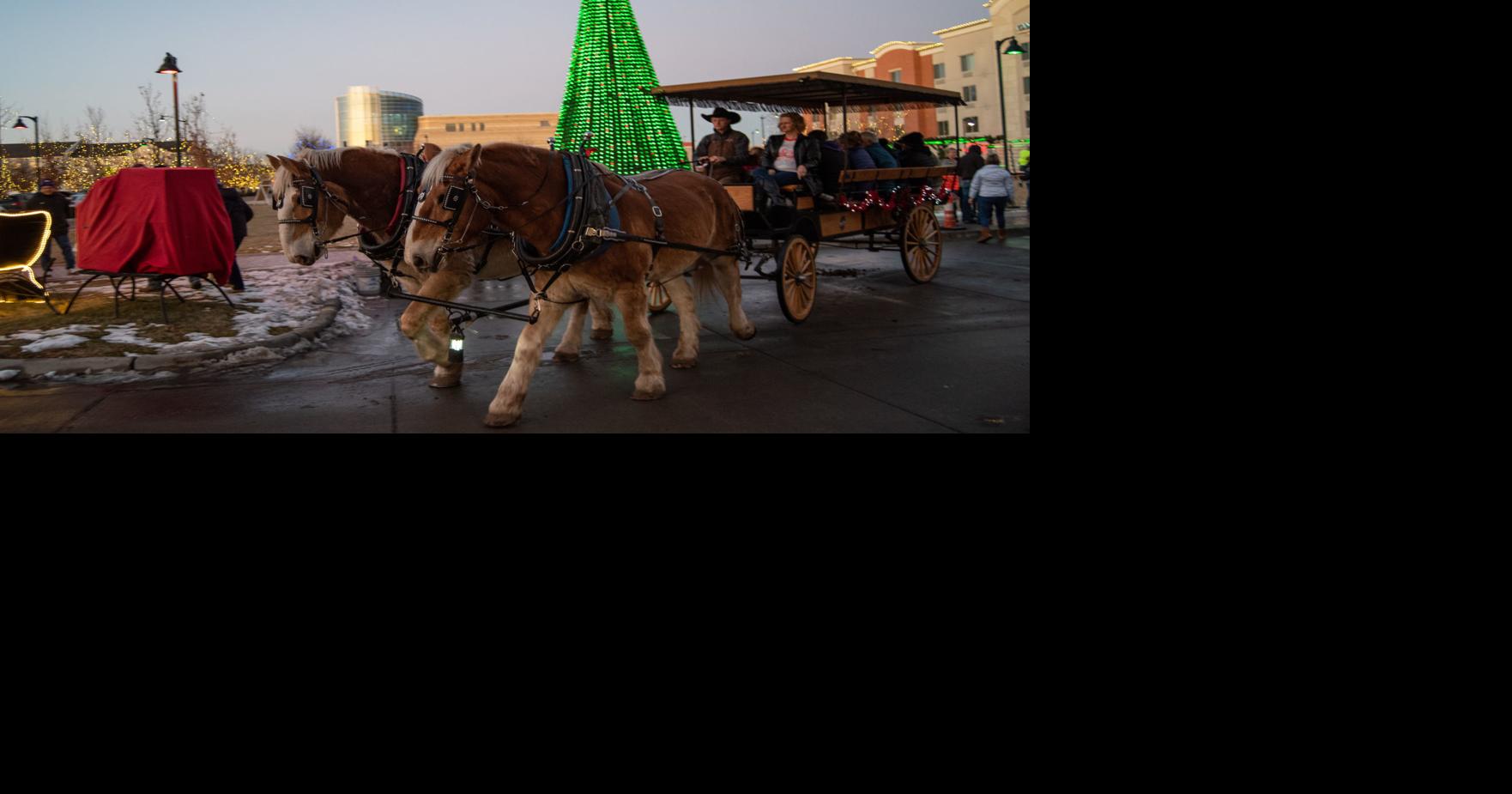 City carriage rides seek to provide the magic of Christmas | Features ...