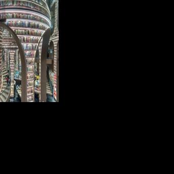 Novel concept: China's spellbinding bookstores draw selfie snappers ...