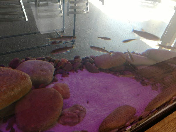 River Improvements Benefit Canton and Clean Water | Life ...