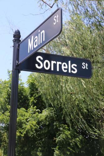 Street signs a hit in Canton | News | themountaineer.com