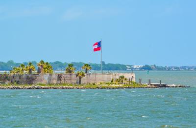 WNC Civil War Roundtable dissects role of Castle Pinckney | Life ...