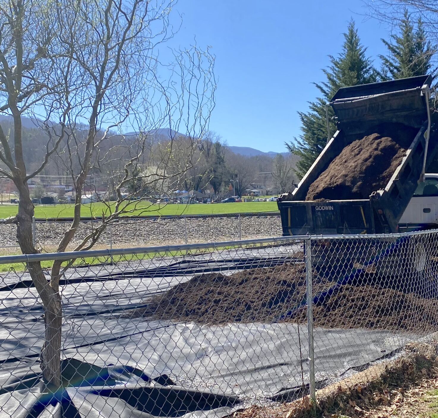 Waynesville dog park rebuild in limbo | News | themountaineer.com