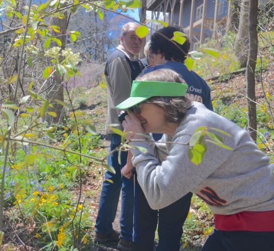 Celebrate spring with wildflower walks at Lake Junaluska | Outdoors ...