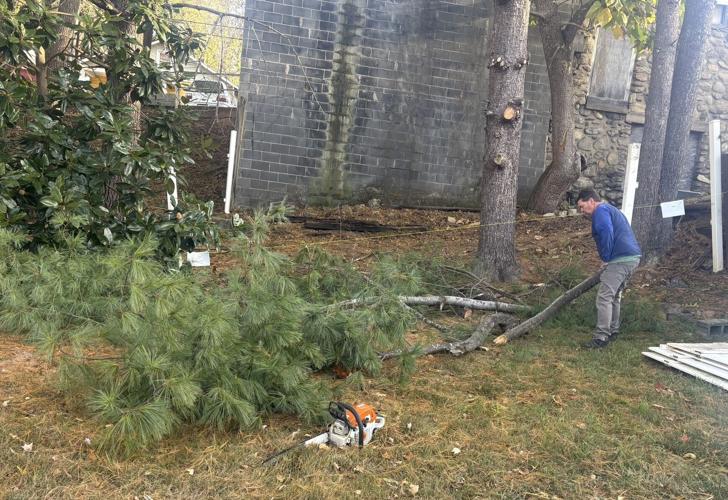Accusation of waving gun in tree cutting altercation is false, Pless ...