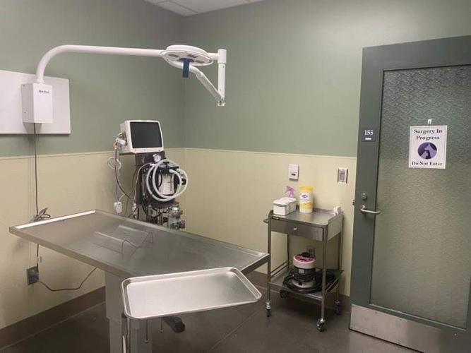 Haywood Animal Shelter adds capacity for spay/neuter services | News ...