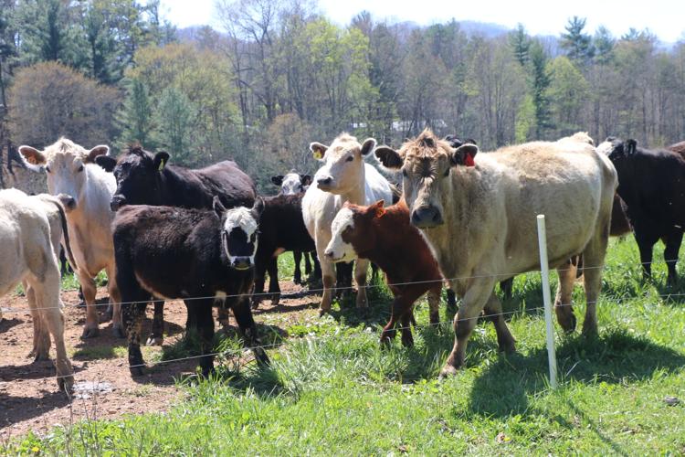 Farmland forever: Crabtree family makes a major pledge | News ...