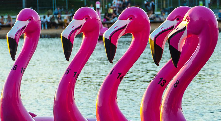 Mama T throws fun-filled Summer Celebration — plus new Flamingo Float ...