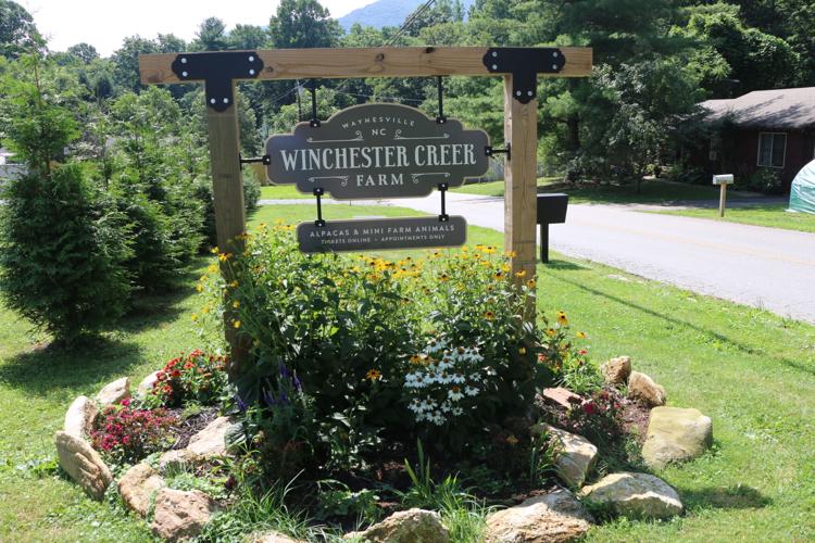 Winchester Creek delights the 'child' in everyone | Life ...