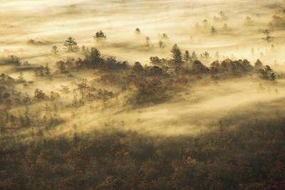 Round up your best shots for outdoor photography contest | Outdoors ...