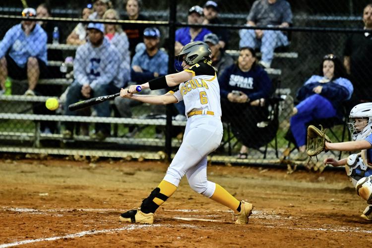 PHOTO GALLERY: Tuscola Softball Vs Enka | Sports | themountaineer.com