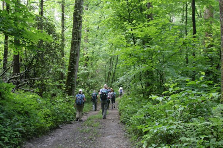 Lend a hand for Little Cataloochee Trail | Outdoors | themountaineer.com