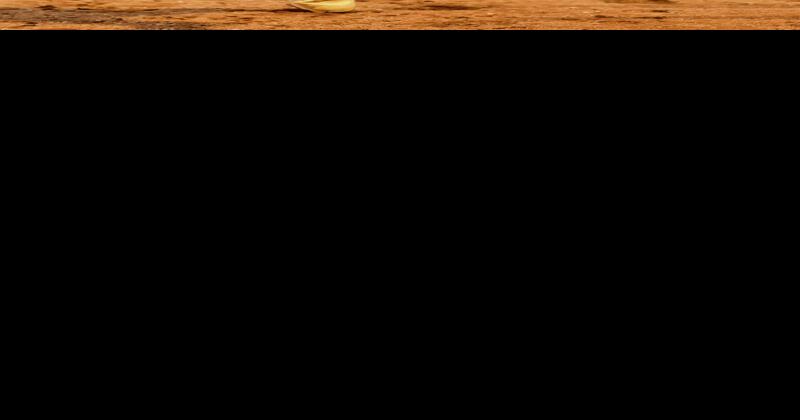 Kinzie Messer -1967.jpg | | themountaineer.com