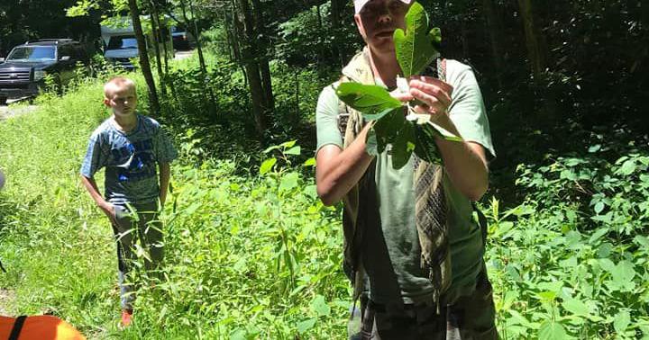 ‘Wild Edible Walk’ with Grasty is Aug. 31 | Outdoors | themountaineer.com