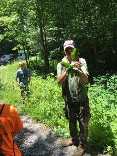 ‘Wild Edible Walk’ with Grasty is Aug. 31 | Outdoors | themountaineer.com